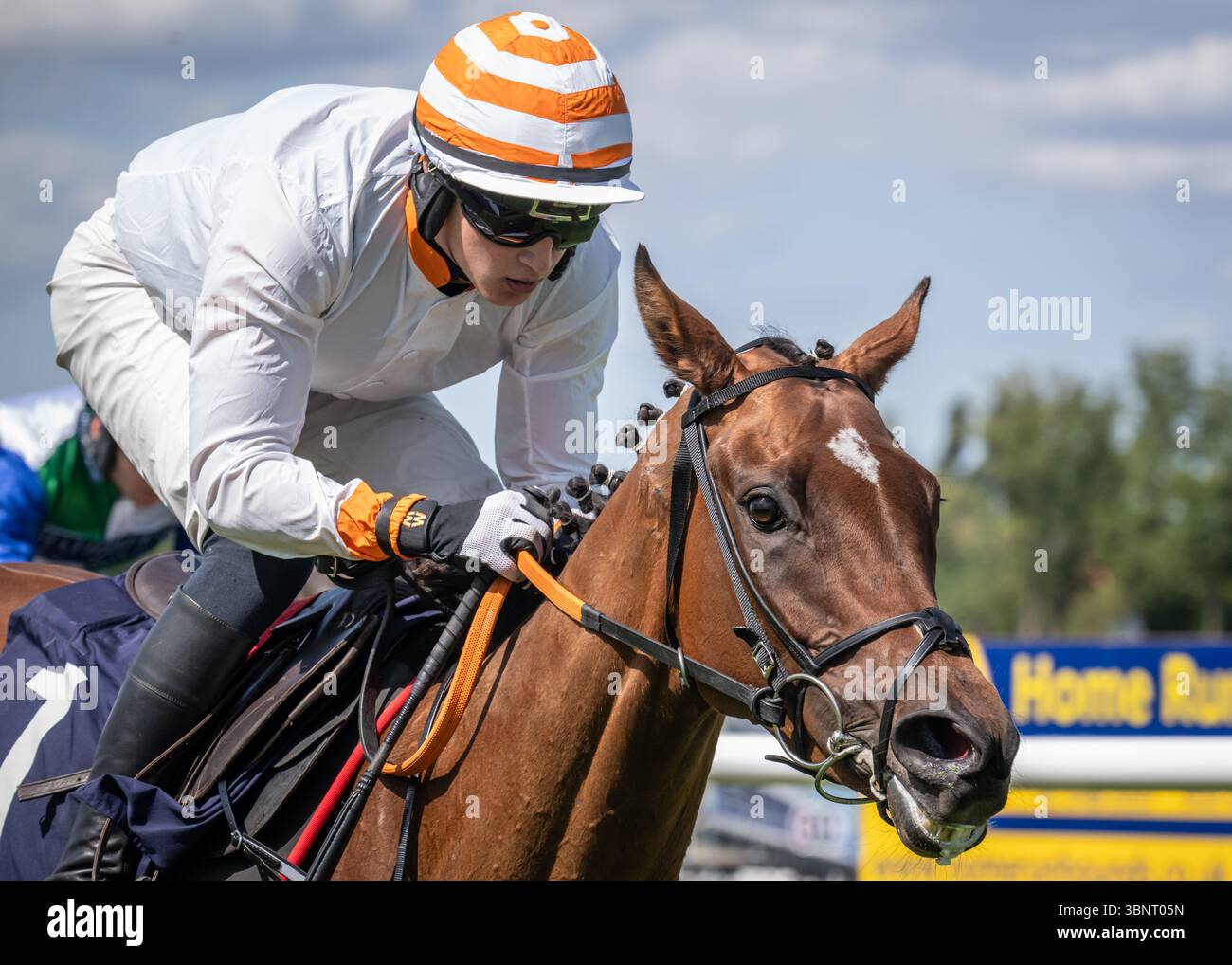 Jockey - Josh Halford at Worcester Racecourse on 02 July 2025 Stock ...