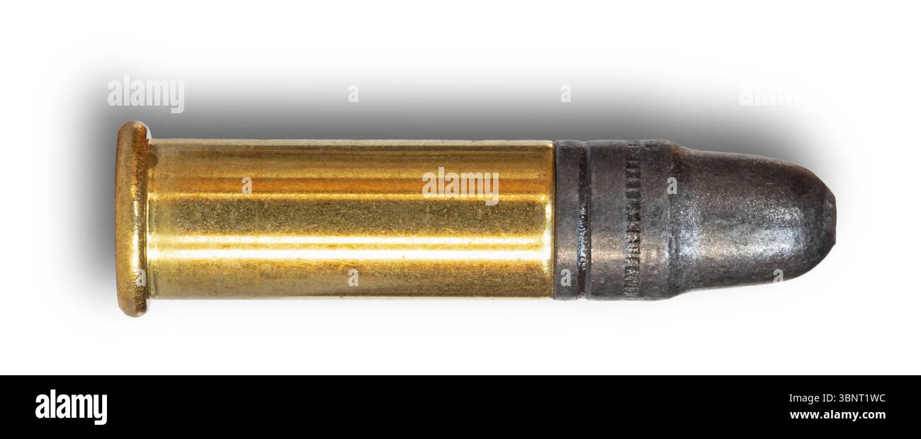 Black and grey lead bullet on a .22 rimfire cartridge with a shadow ...