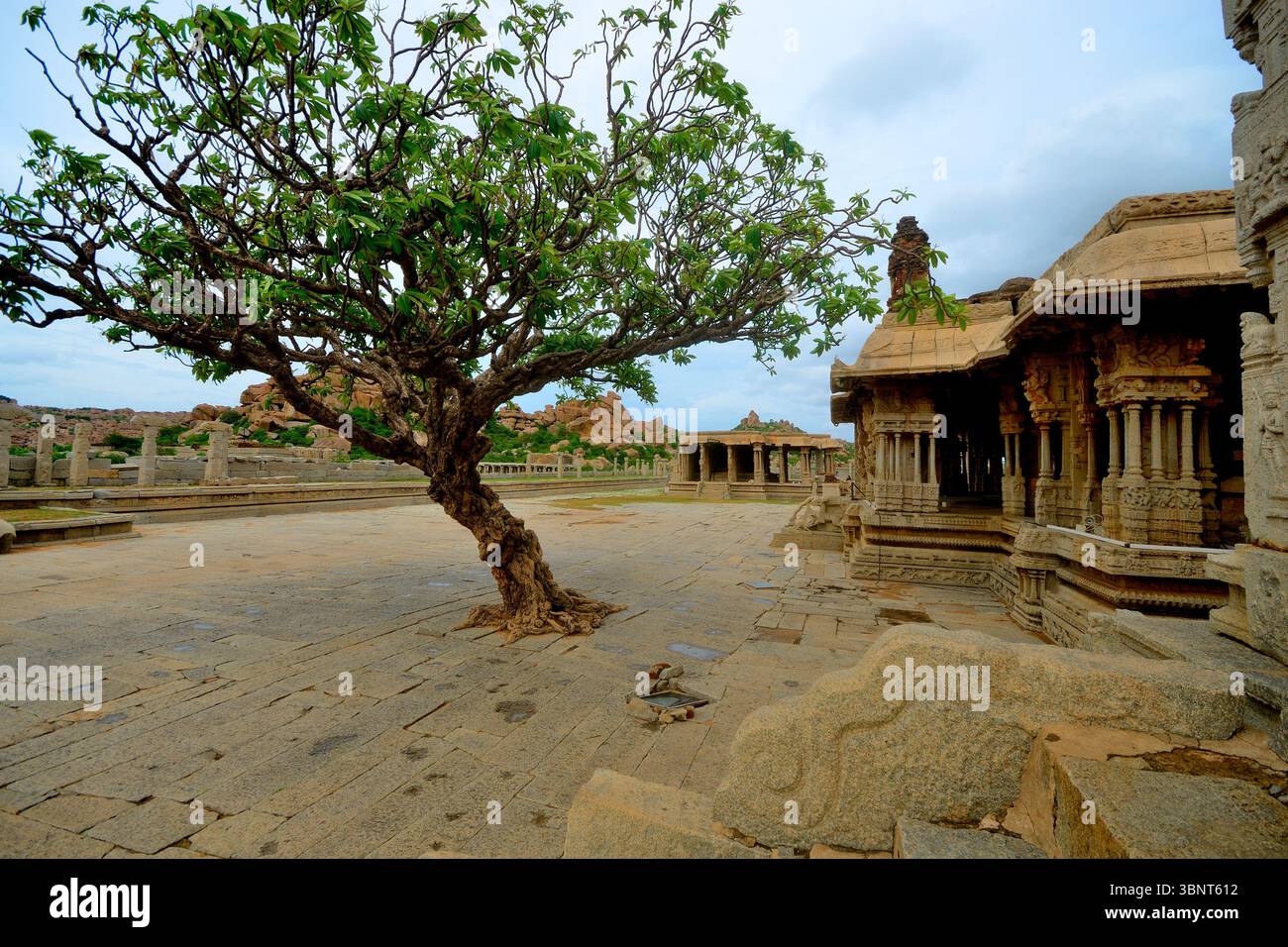 Shree Vijaya Vitthala Temple, it is dedicated to Lord Vitthala, an ...