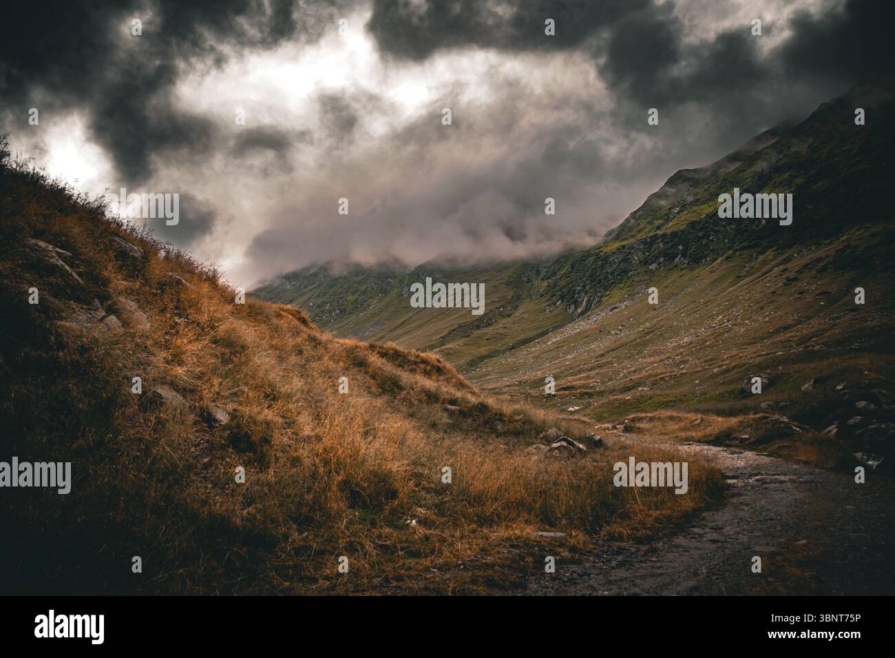 Deep mountain valley rugged hi-res stock photography and images - Alamy