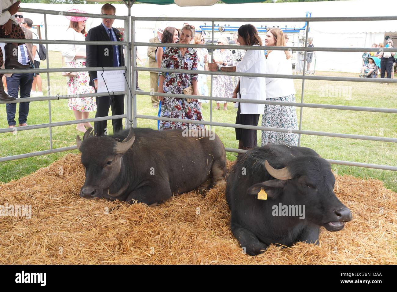 The Duchess of Edinburgh during her visit to the Kent County Show at ...