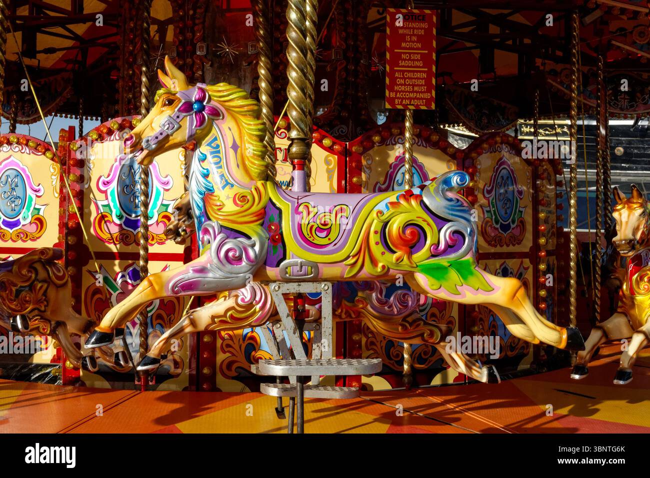 Vintage carousel horses horse hi-res stock photography and images - Alamy