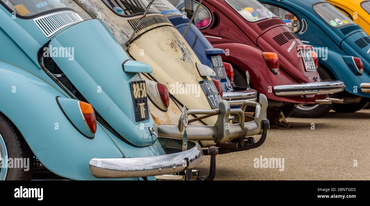 Row of the back of vintage Volkswagen Beetles at vintage car show in ...