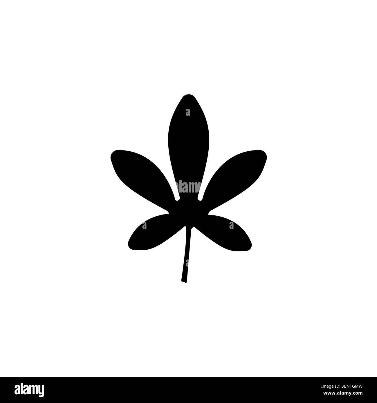 Five Leaf Clover, Lucky Irish Plant Solid Flat Vector Icon Isolated on ...