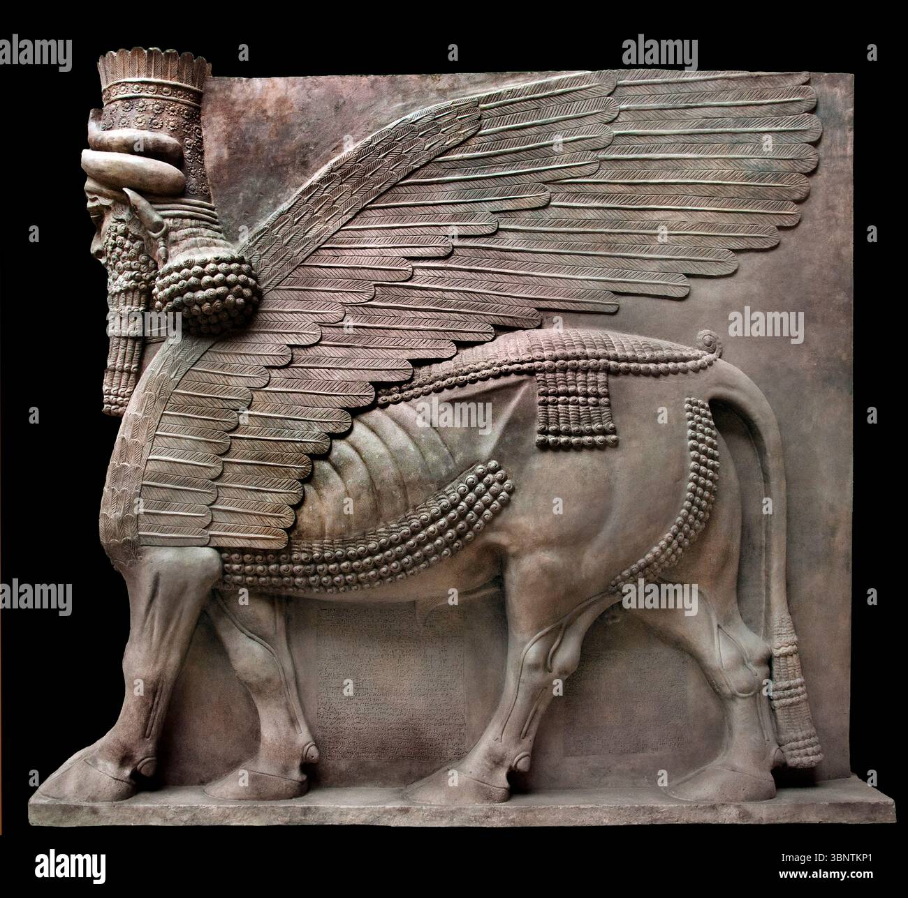 Winged human headed bull Neo Assyrian palace of Sargon II 721-705 BC ...