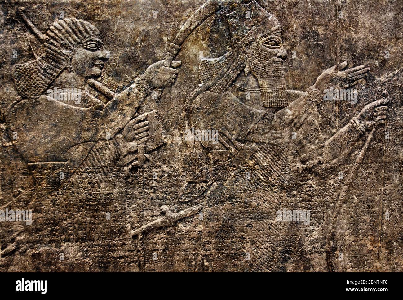 Sargon ii palace horses hi-res stock photography and images - Alamy