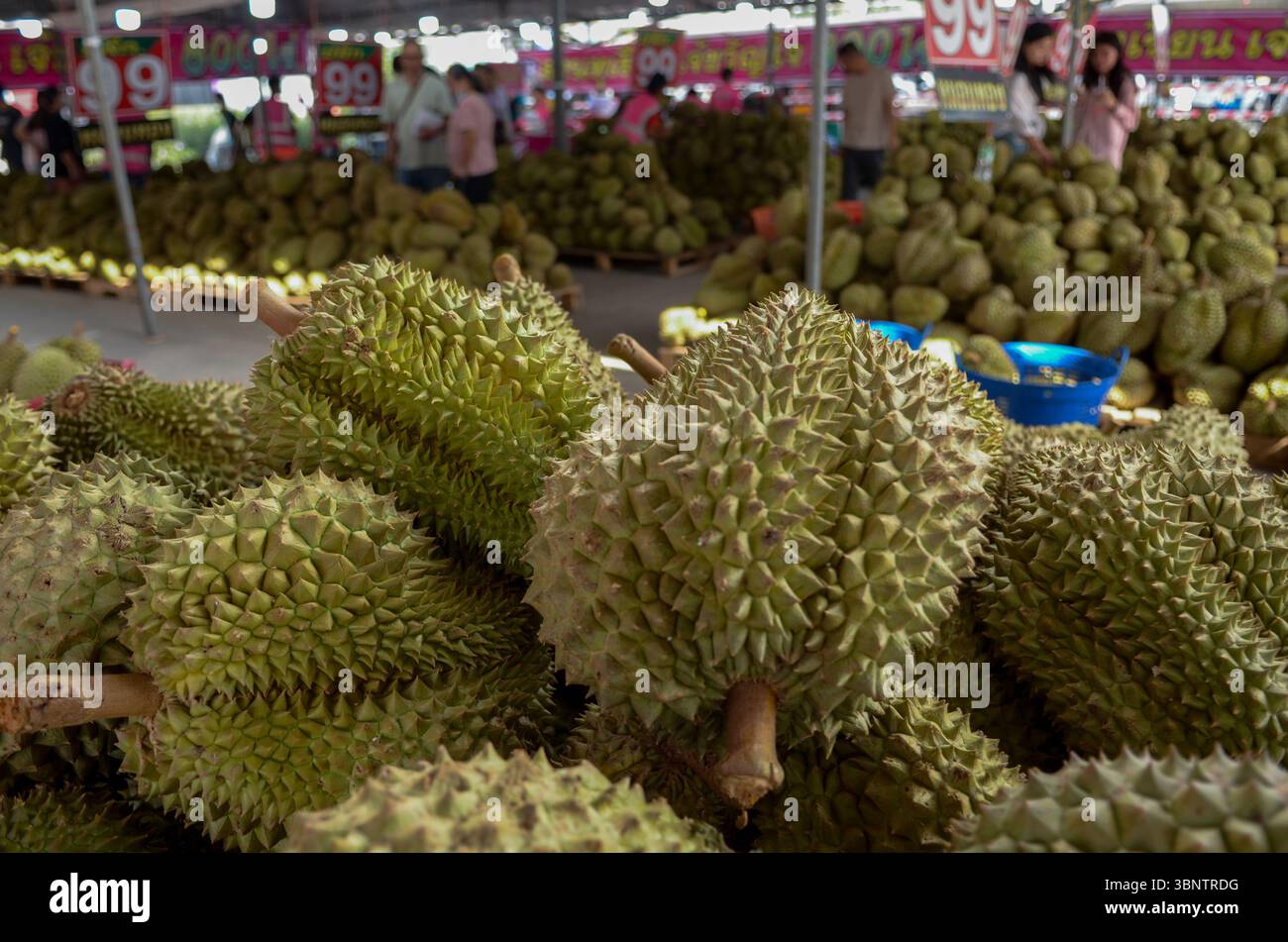 Durians on display at a seasonal festival held on the grounds of the ...