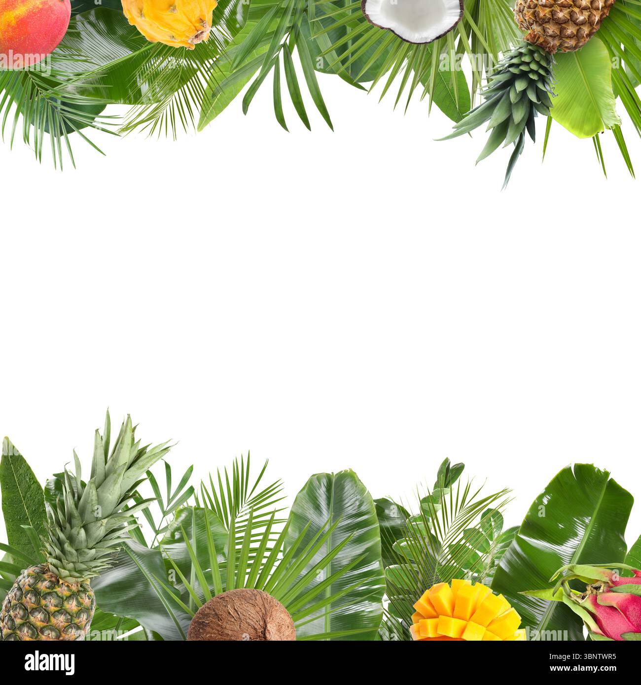 Fresh tropical fruits and green leaves on white background Stock Photo ...