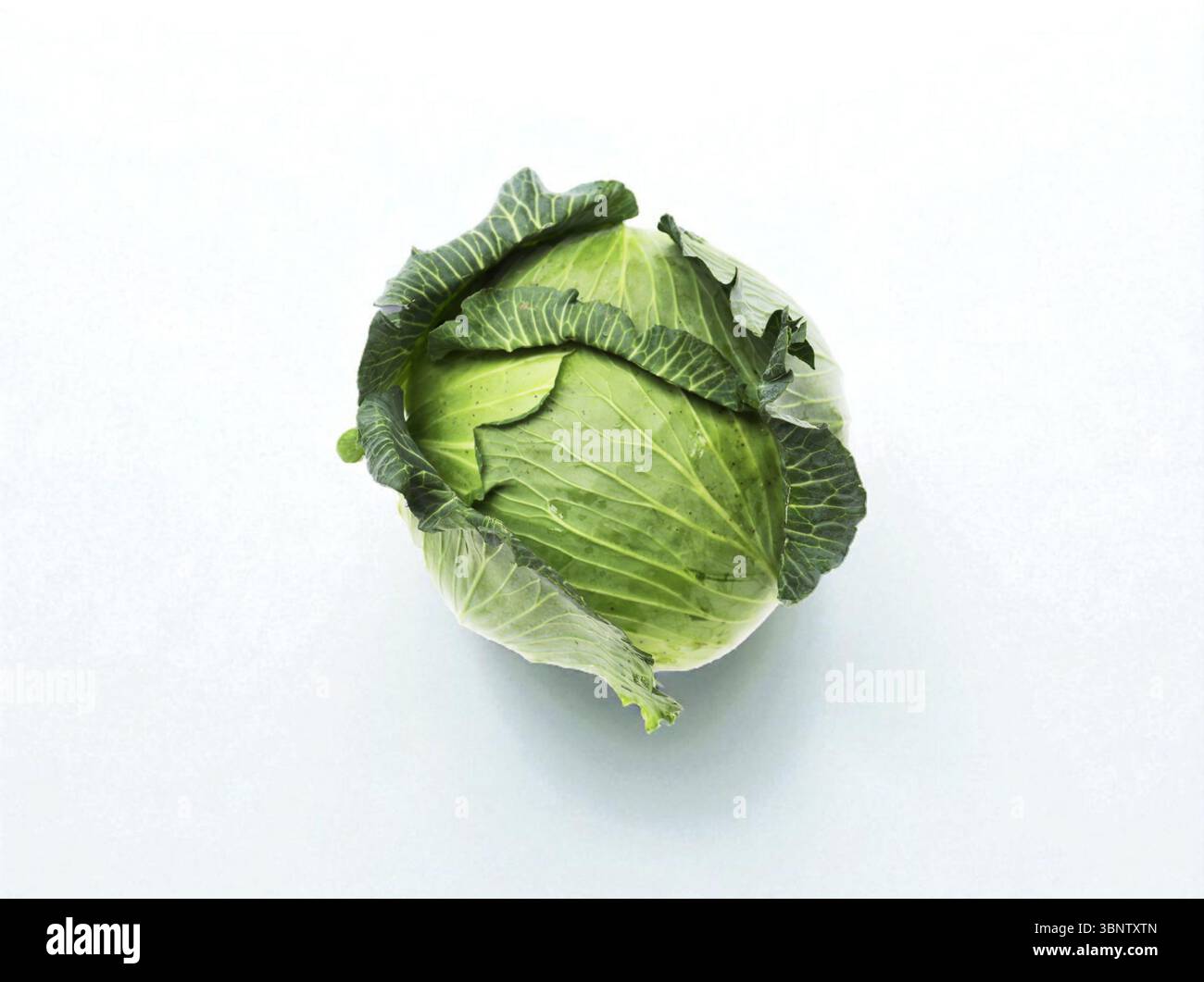 Fresh green cabbage isolated on transparent background Stock Photo - Alamy