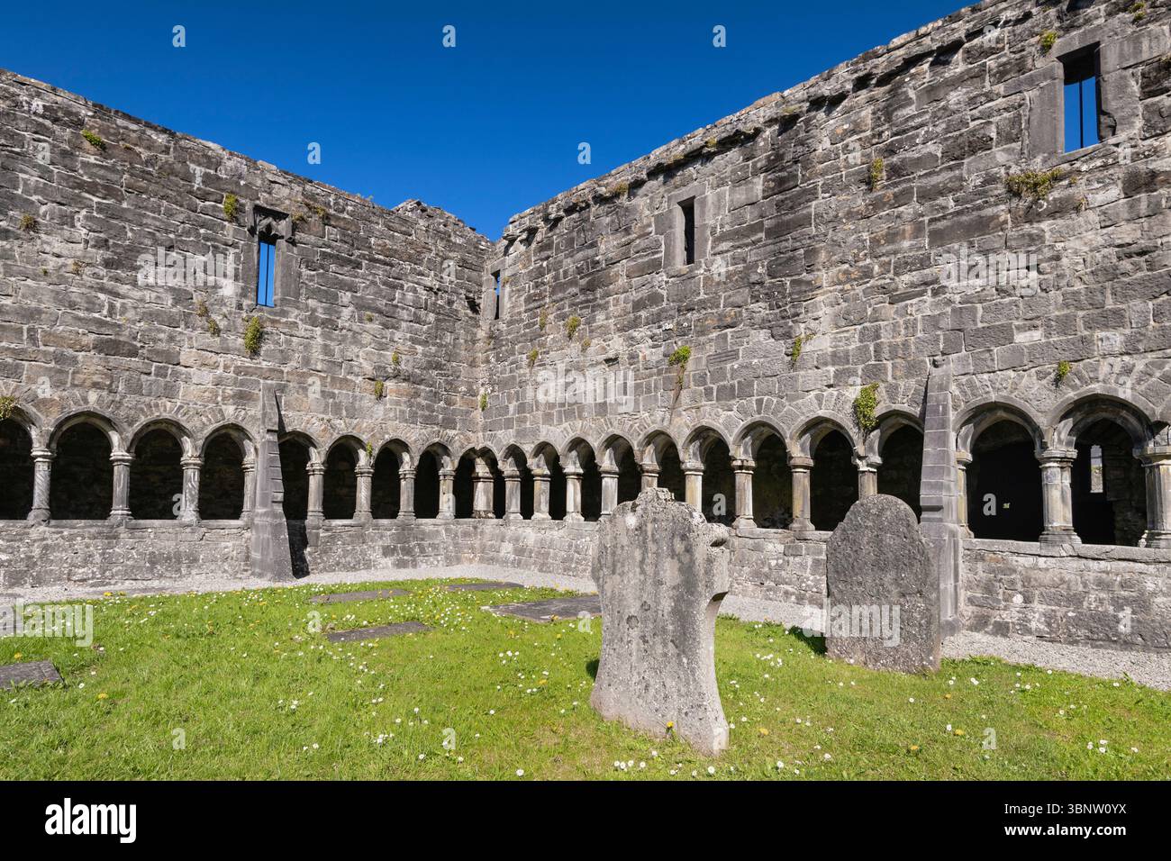 Republic of Ireland, County Sligo, Sligo Abbey was a Dominican Friary ...