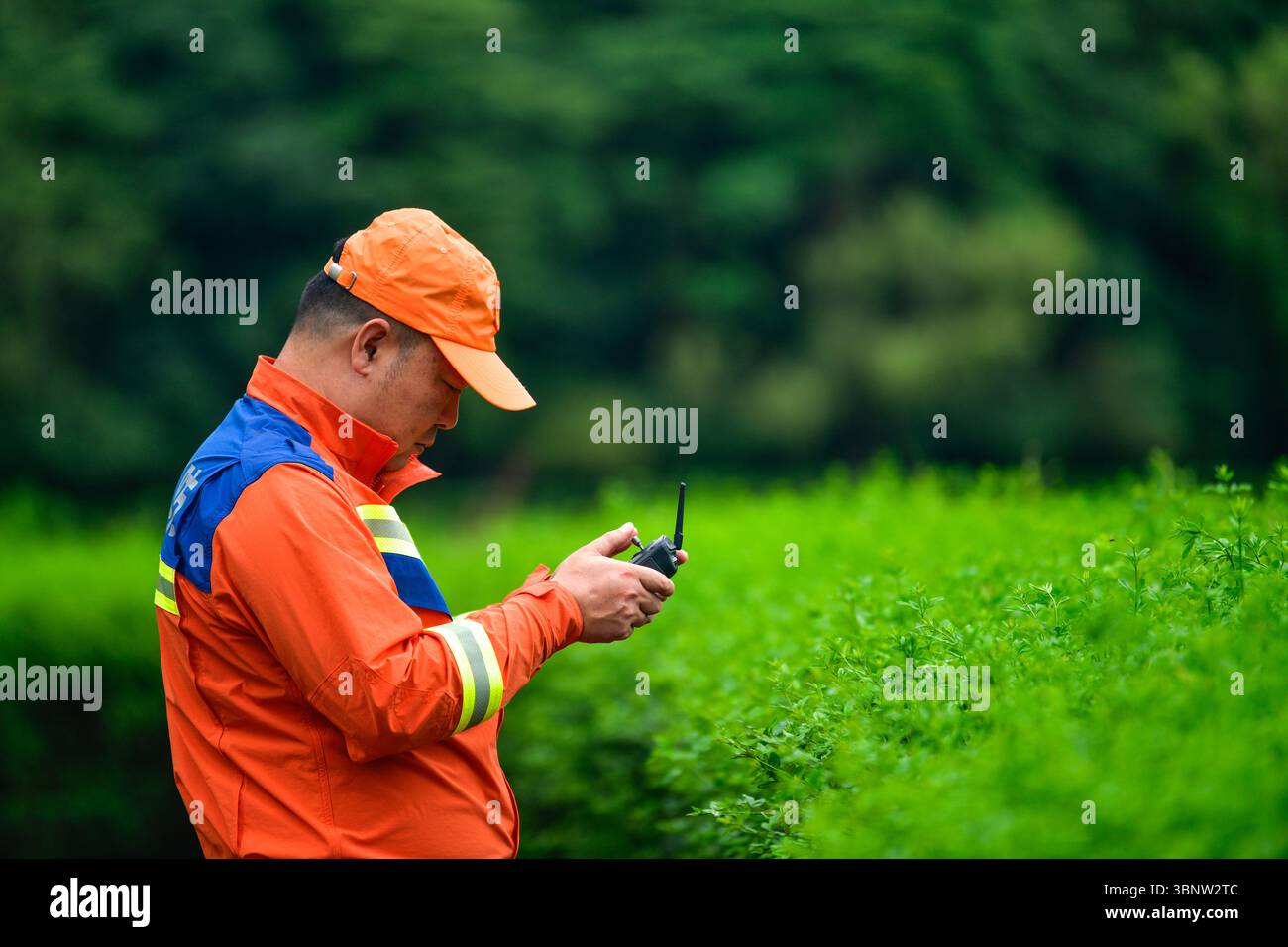 Guiyang, China's Guizhou Province. 1st July, 2025. A forest ranger uses ...