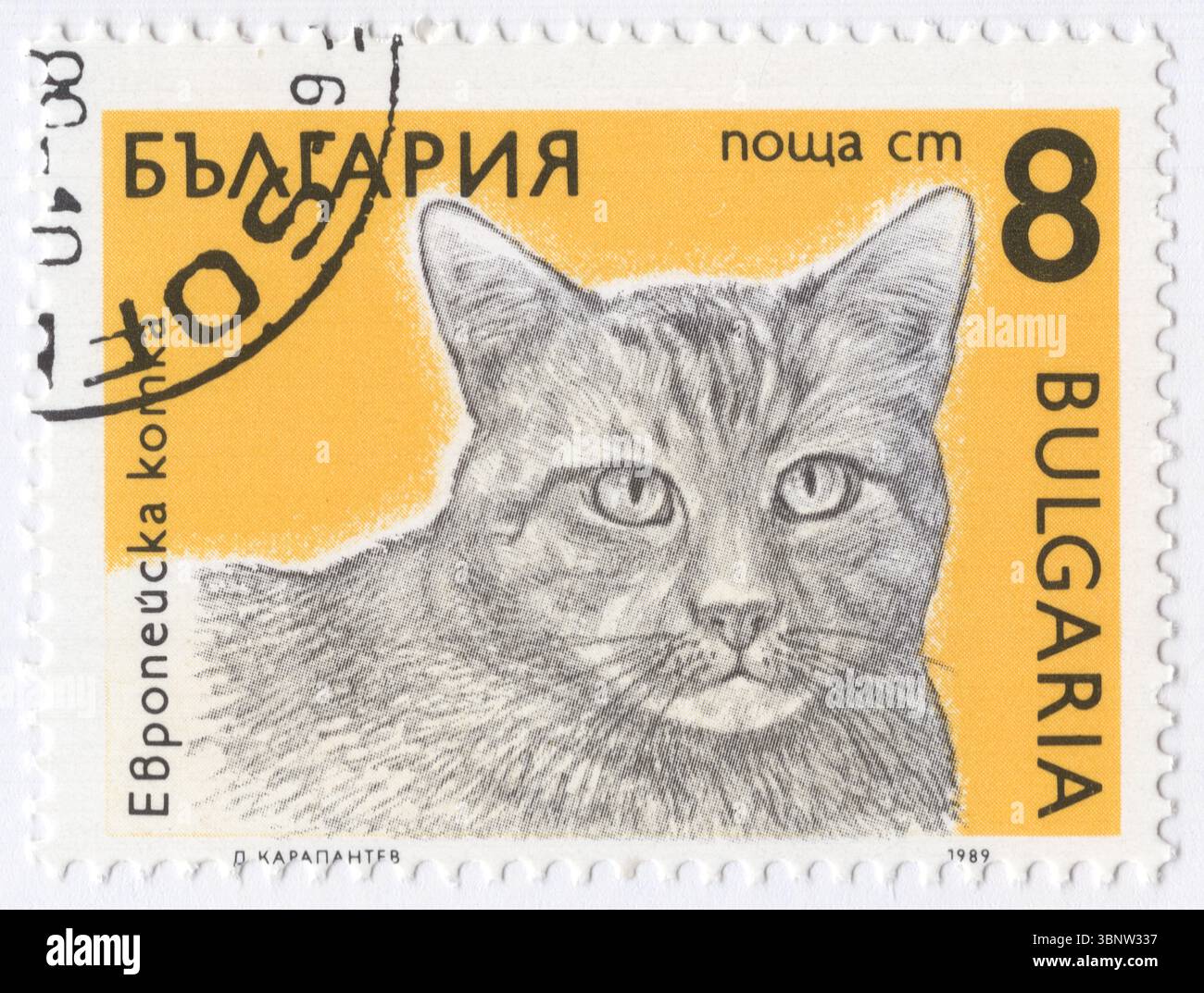 Striped flanks hi-res stock photography and images - Alamy