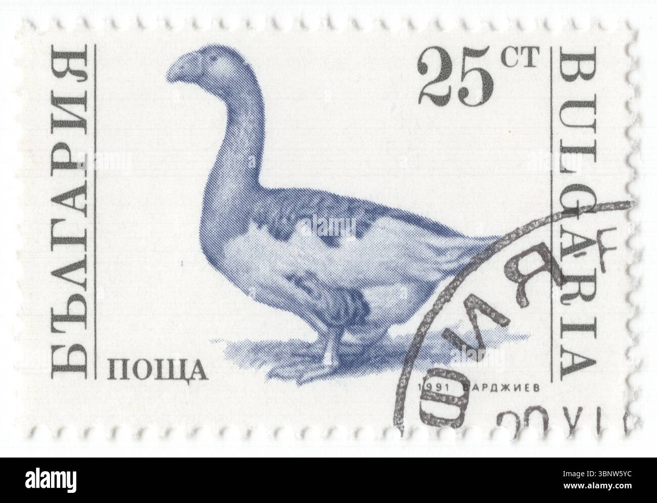 Larger family Cut Out Stock Images & Pictures - Alamy