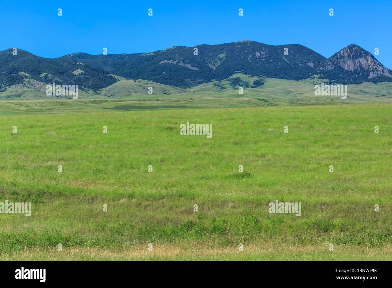 judith mountains above the prairie near roy, montana Stock Photo - Alamy