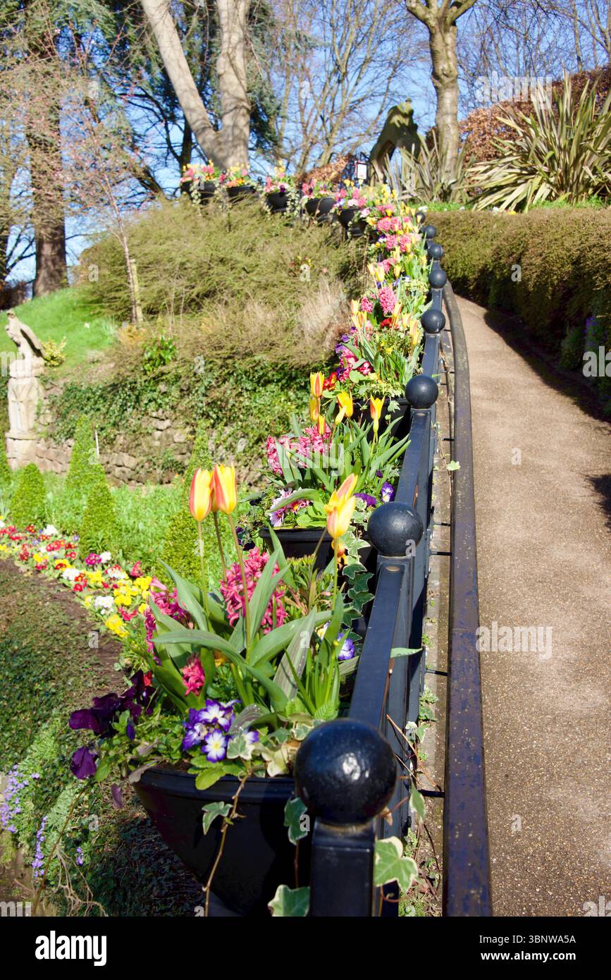 A vibrant garden path lined with colourful potted flowers and lush ...
