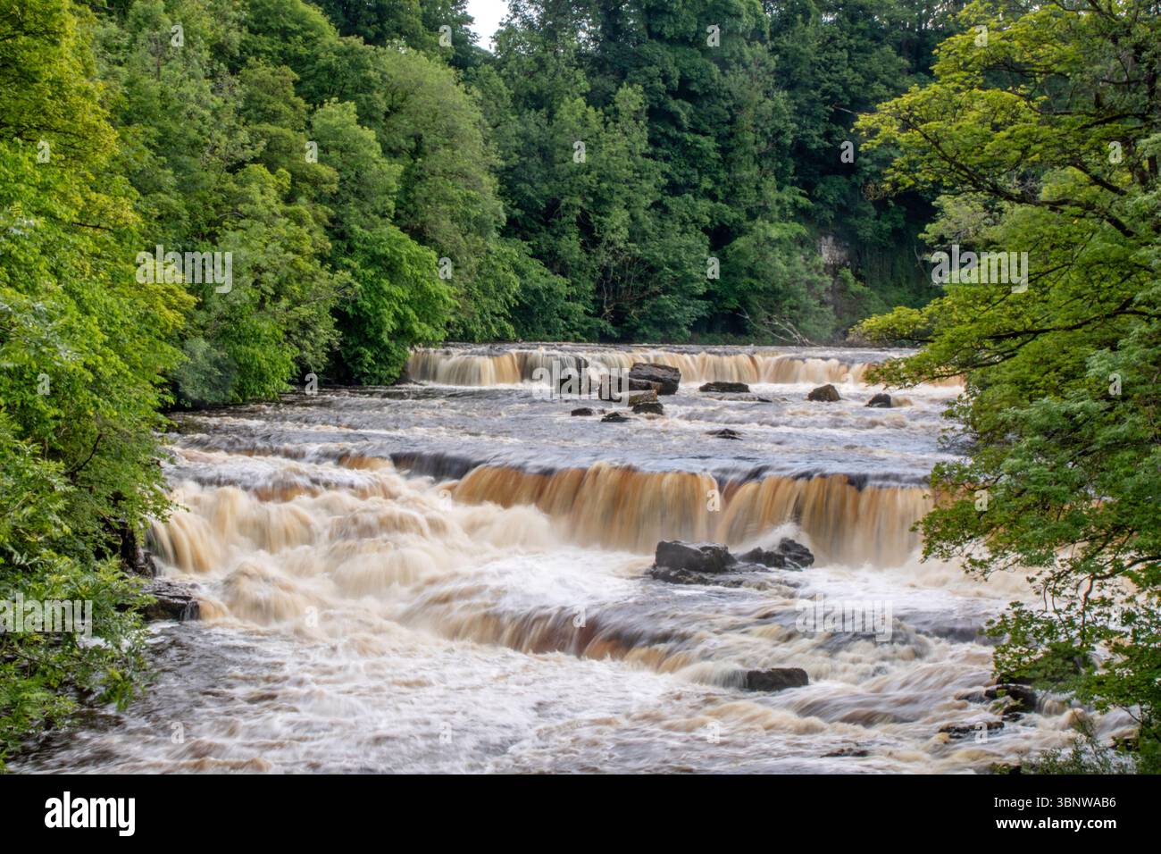 The River Ure and Aysgarth Falls, Wensleydale, Dales National Park ...