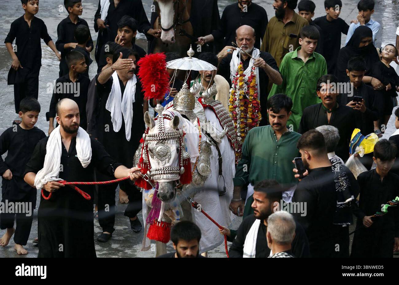 Shiite Muslims mourners to Imam Hussain (A.S) are participating ...