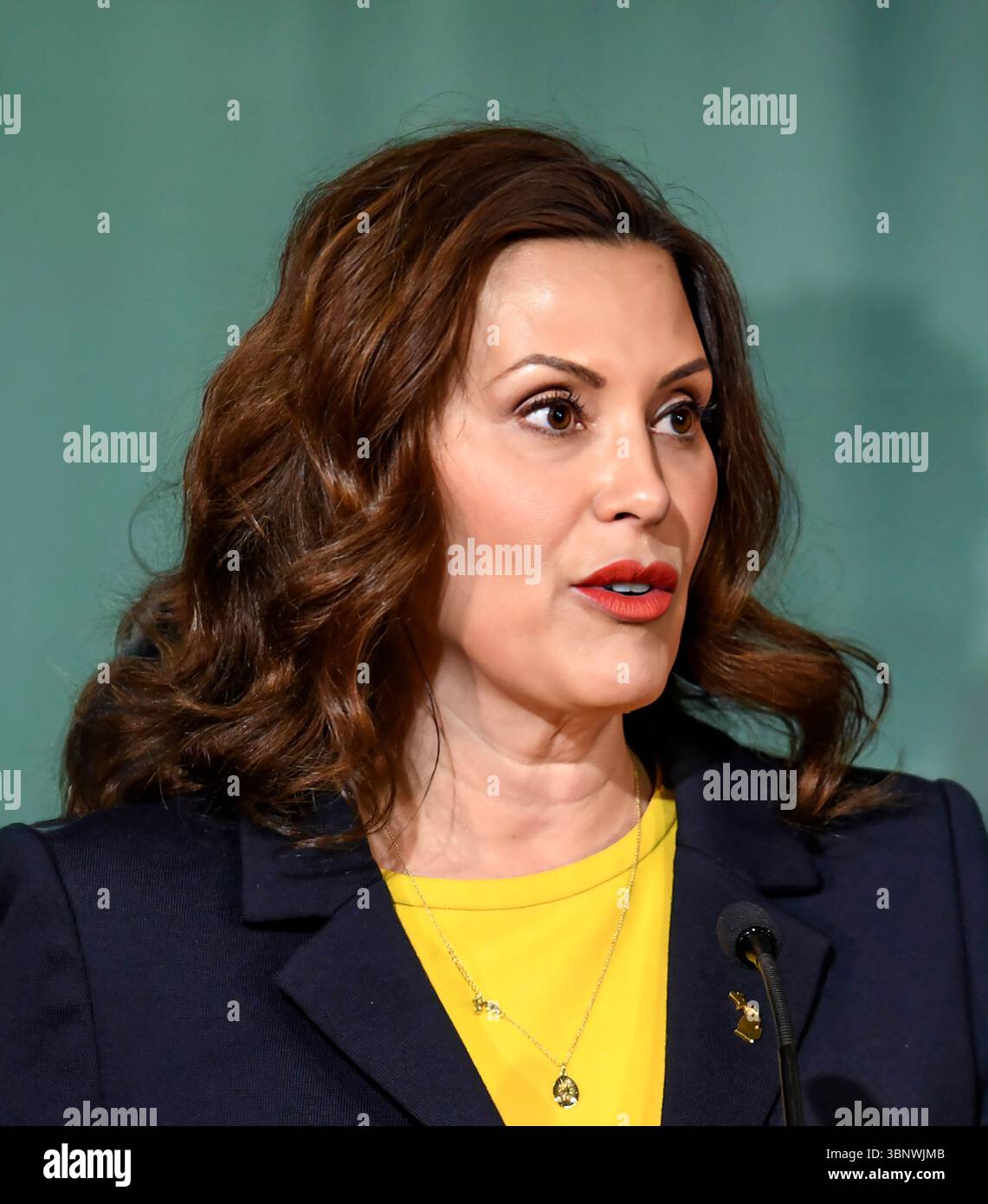 Gretchen Whitmer. Portrait of the Governor of Michigan, Gretchen Esther ...