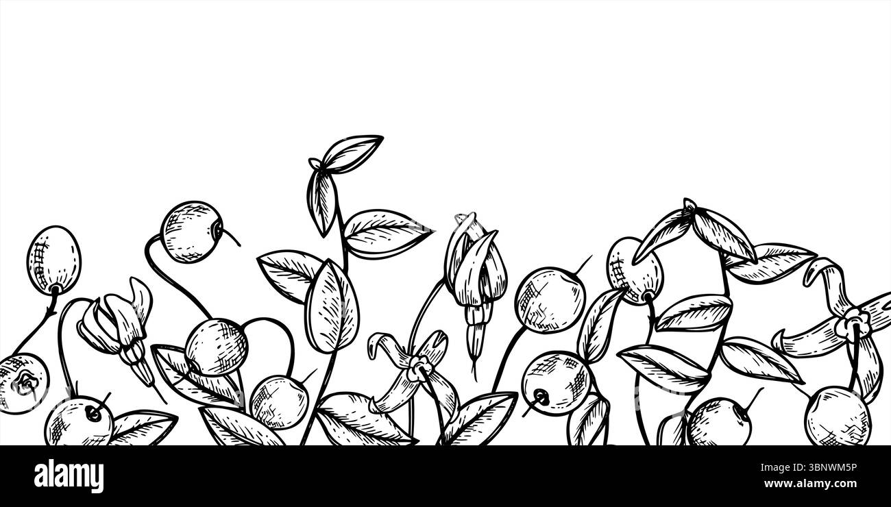 Horizontal monochrome cranberry border with berries, flowers, leaves ...