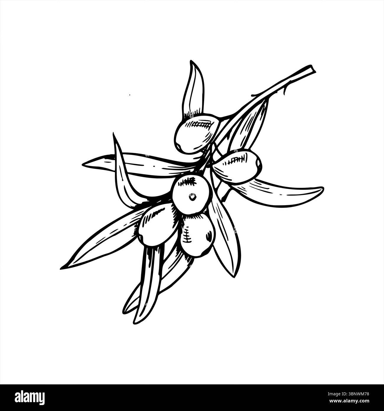 Baltic line Cut Out Stock Images & Pictures - Alamy