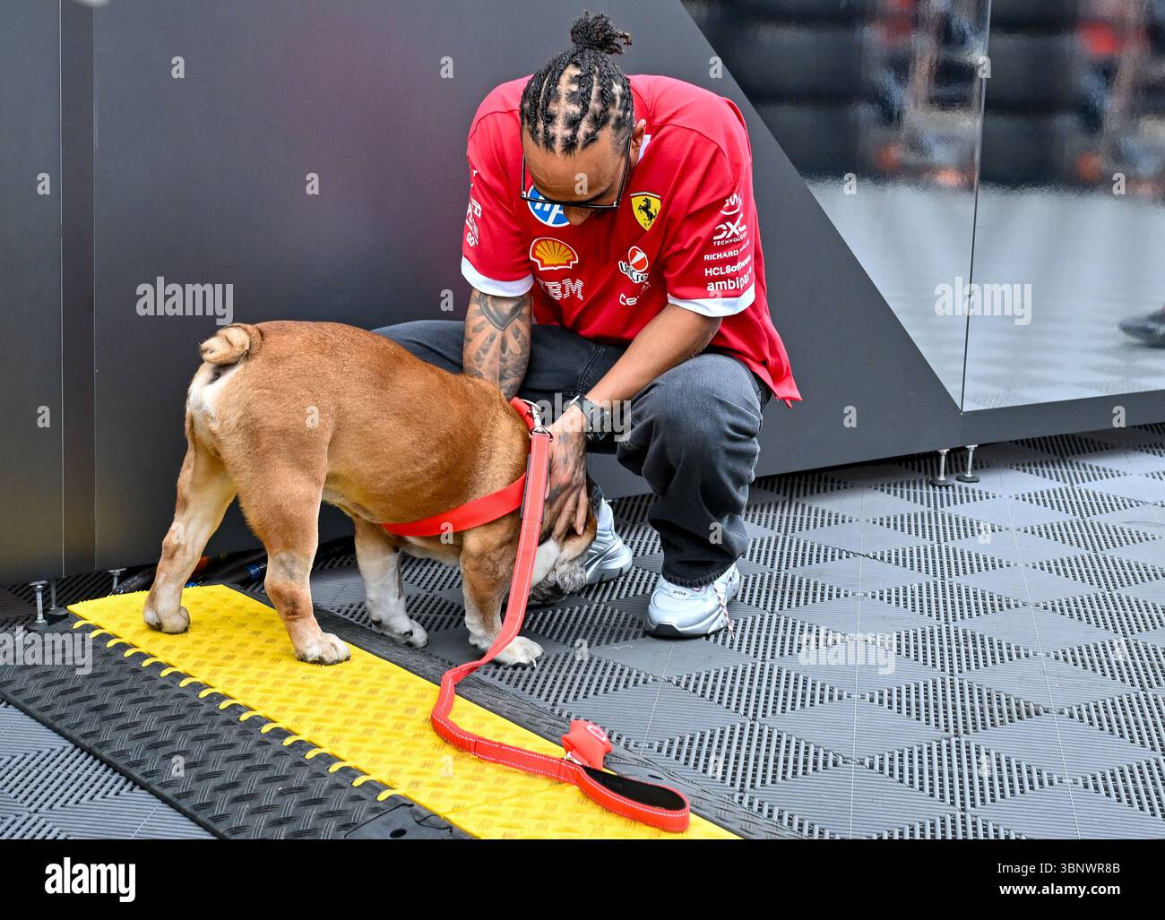 04 July 2025. Lewis Hamilton, Ferrari, with his Dog Roscoe after Free ...