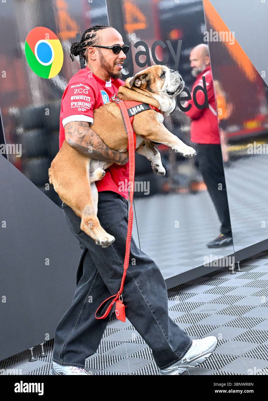 04 July 2025. Lewis Hamilton, Ferrari, with his Dog Roscoe after Free ...