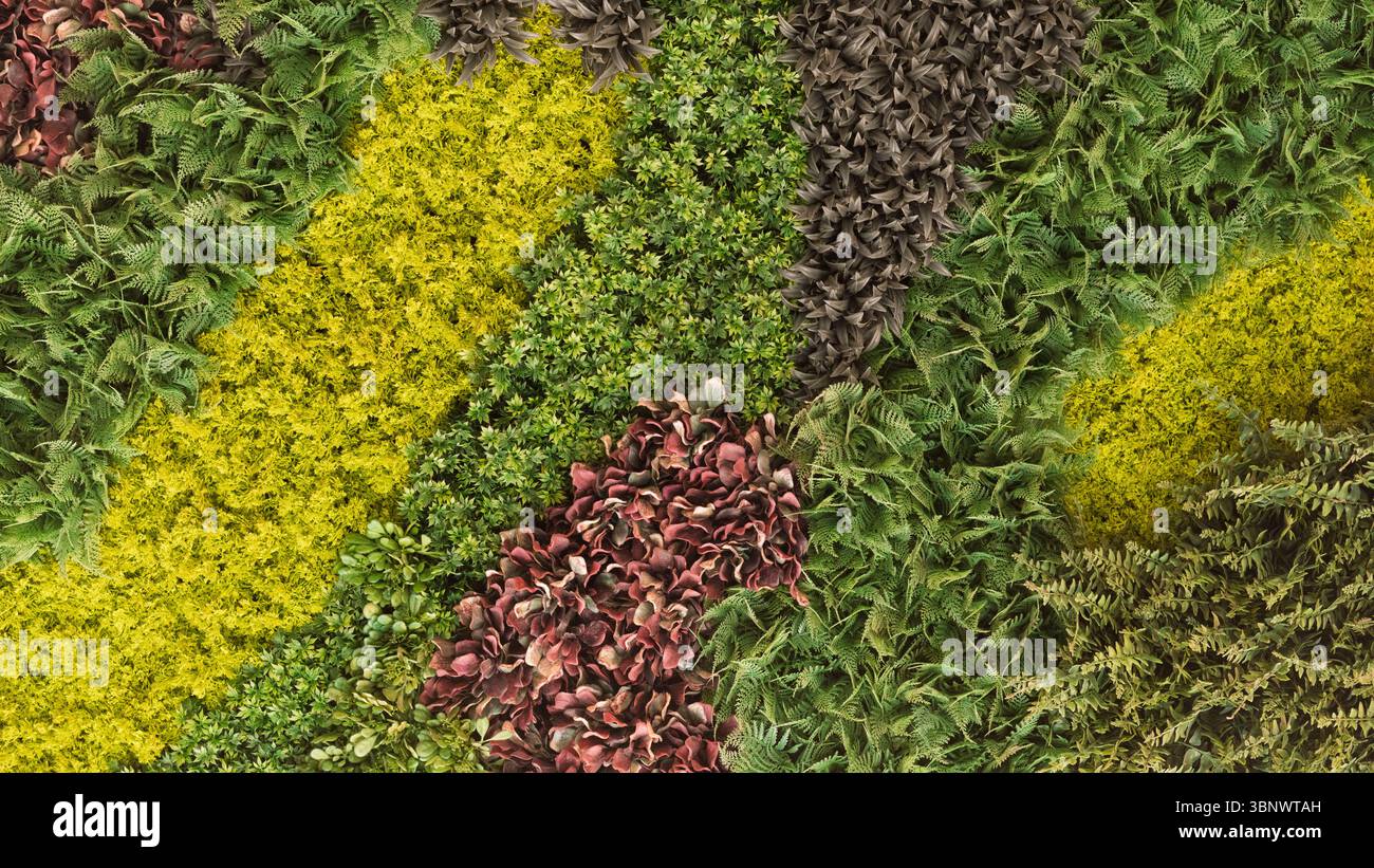 Hojas y plantas hi-res stock photography and images - Alamy