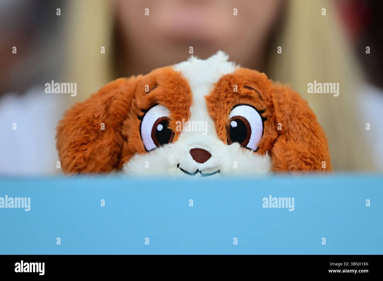 Women's european championship 2025 hi-res stock photography and images ...