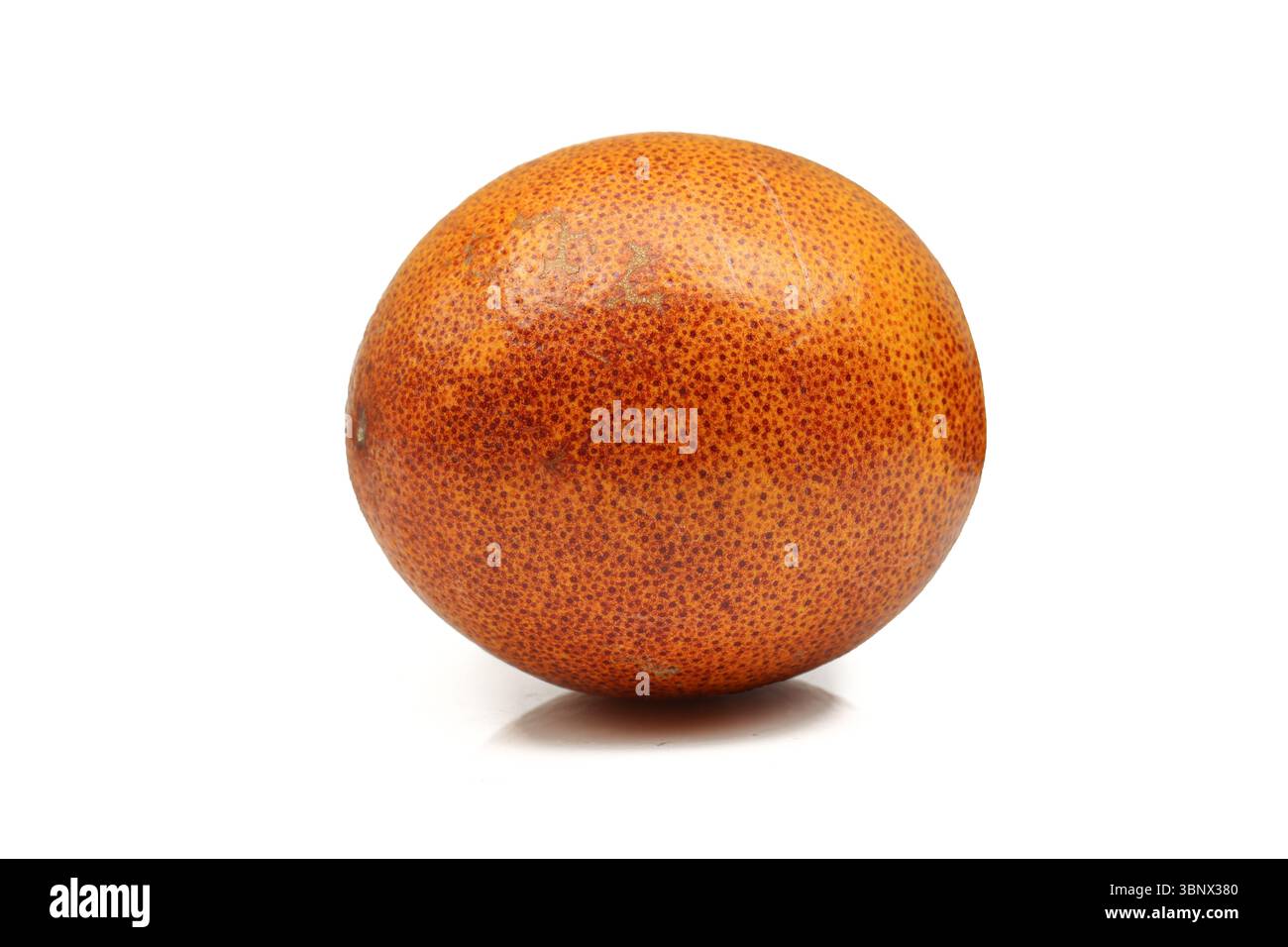 Single whole red bloody orange isolated on white background Stock Photo ...
