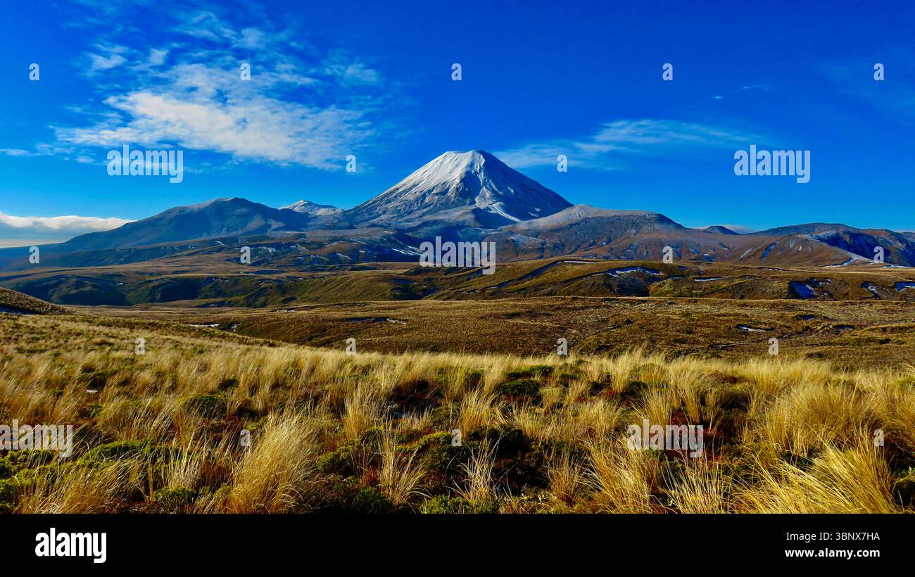 Tama Lake Track Stock Photo - Alamy