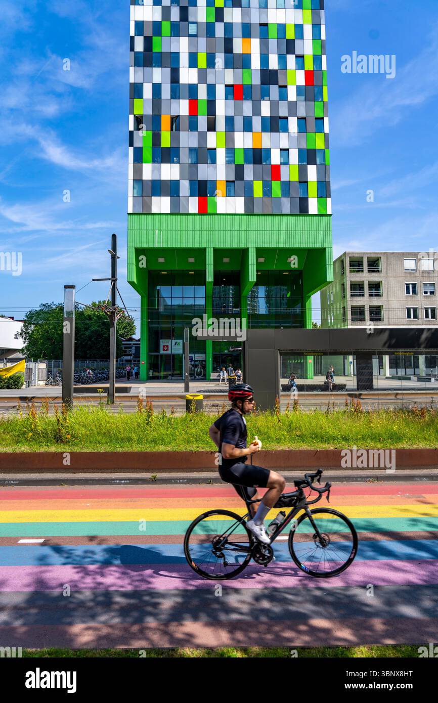 Rainbow cycle path through the university campus in Utrecht Science ...