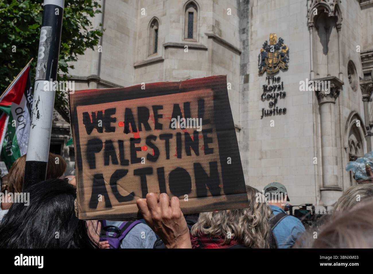 Crowds gathered outside the Royal Courts of Justice in London to voice ...
