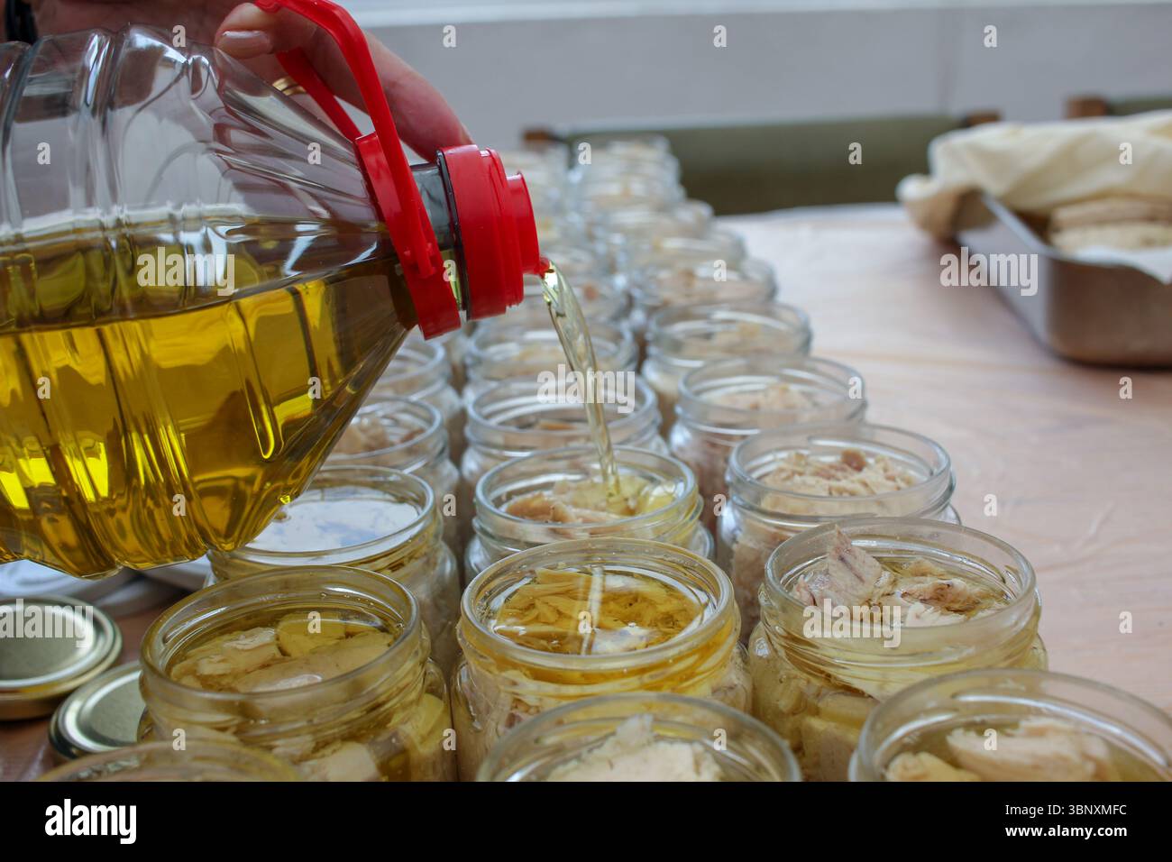 the process of preserving bonito adding olive oil to it Stock Photo - Alamy
