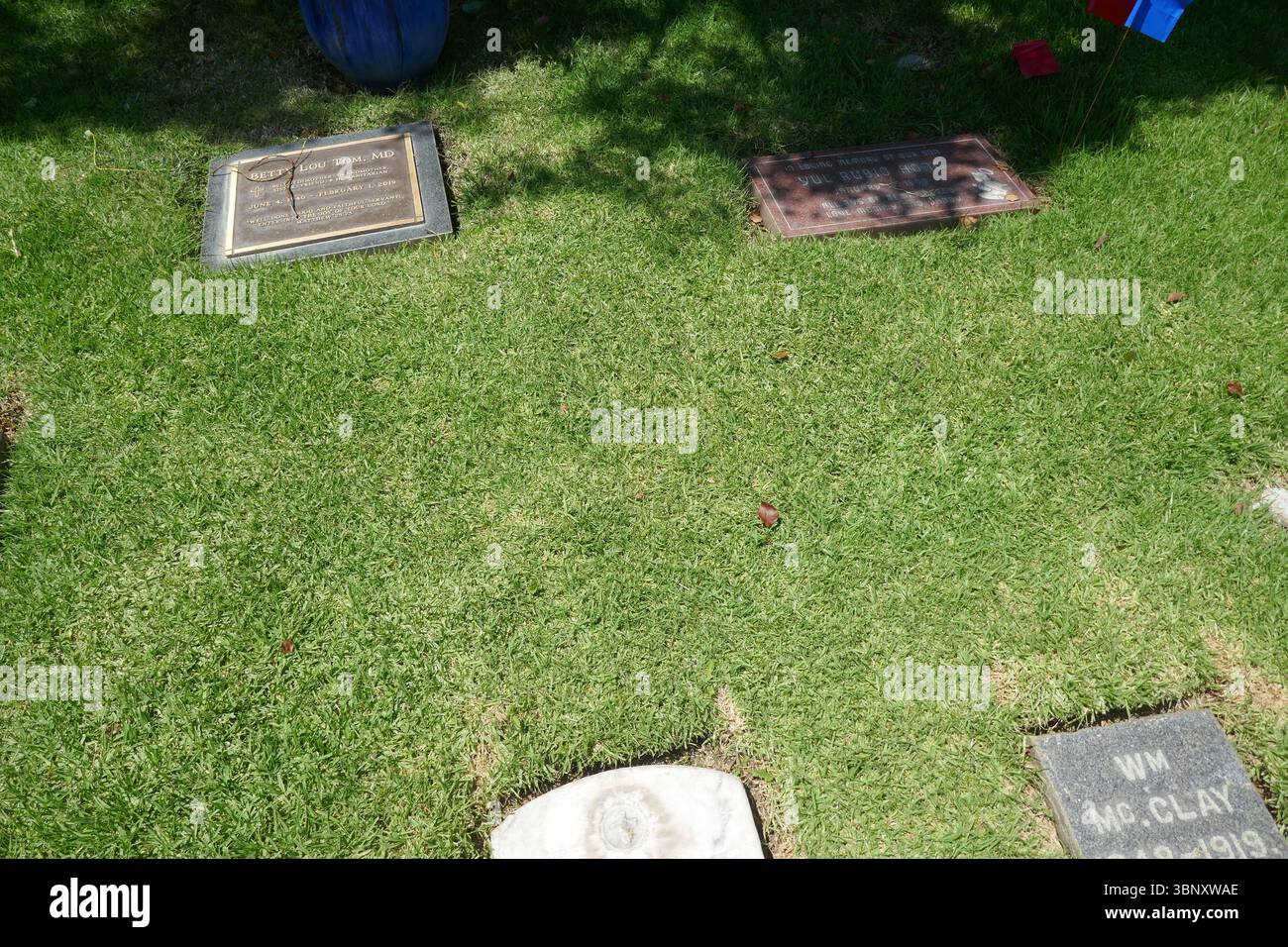 Los Angeles, California, USA 4th July 2025 Beach Boys Musician/singer ...