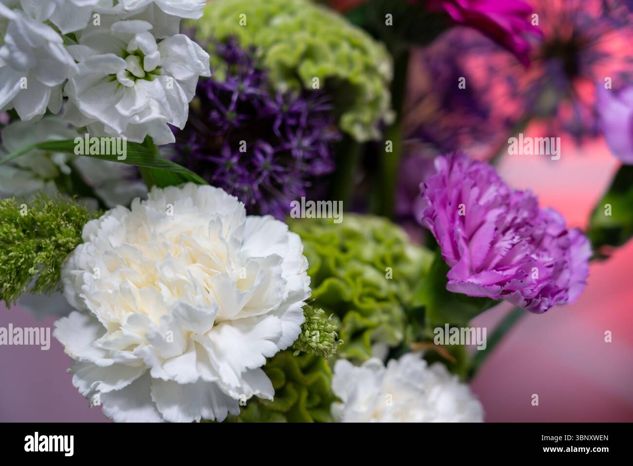 Intricate designs of green flowers hi-res stock photography and images ...