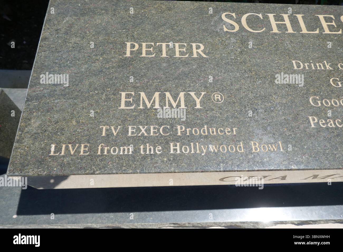 Los Angeles, California, USA 4th July 2025 Producer Peter Schlesinger Bench/Grave at Pierce ...