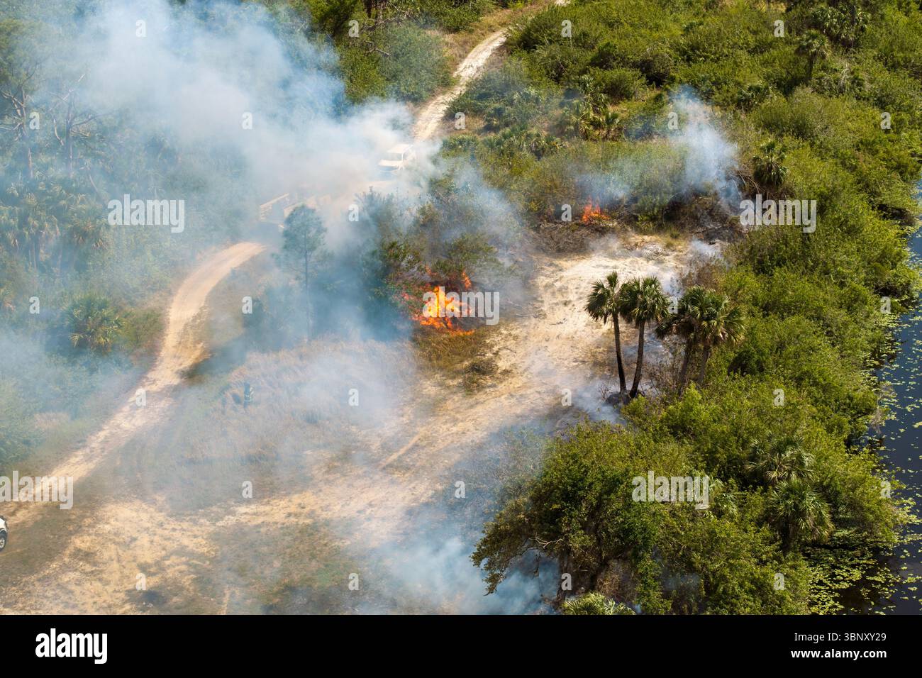 Fire and smoke dominate a Florida forest scene during dry season as ...