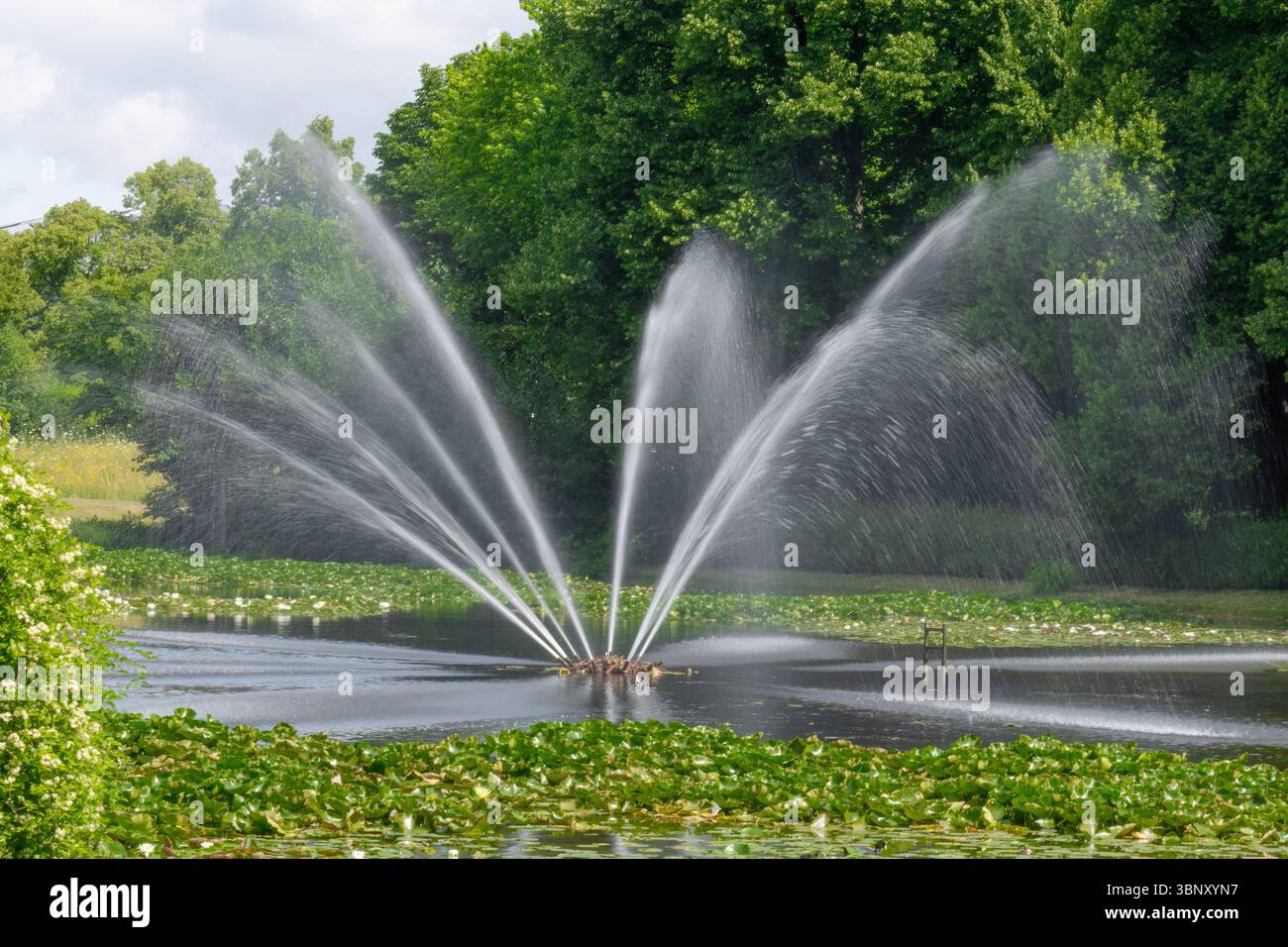 A fountain with water shooting out of it in a park. The water is ...