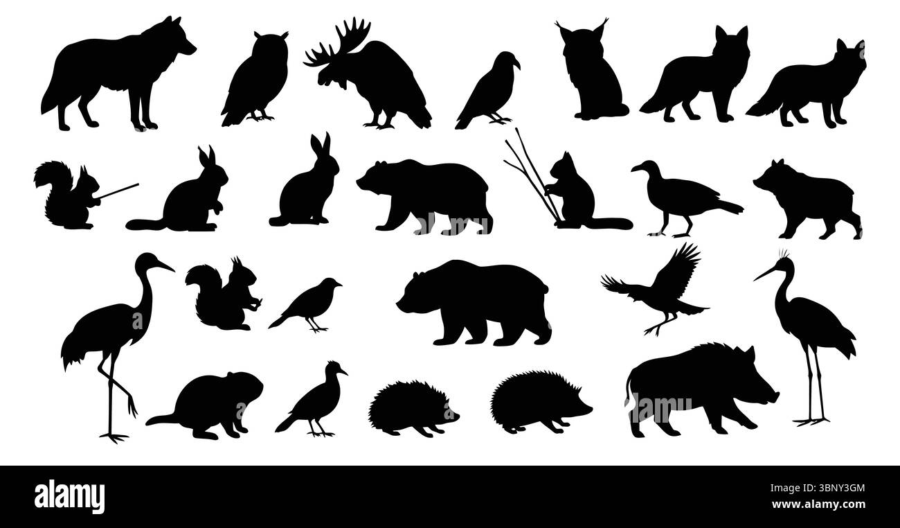 Bird species vector vectors Cut Out Stock Images & Pictures - Alamy