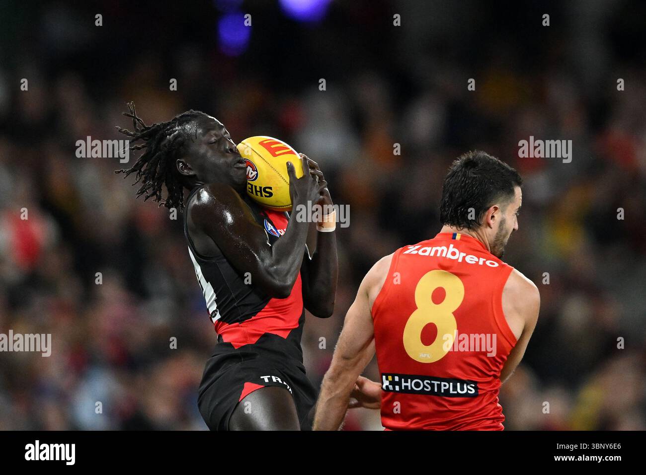 Laumon Lual of Essendon (left) marks the footy during the AFL Round 17 ...