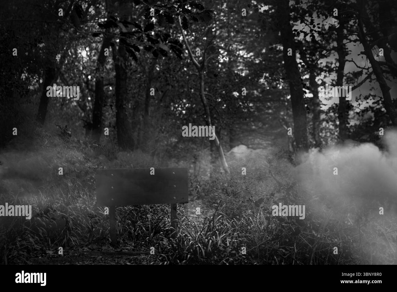 Greenery bench Black and White Stock Photos & Images - Alamy