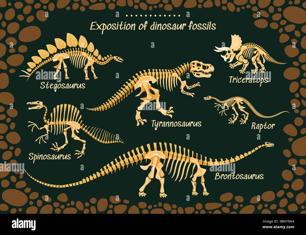 Dinosaur museum poster with prehistoric dino fossils of Jurassic ...