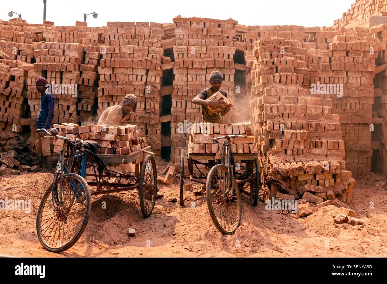 Laborers skillfully load and transport bricks on bicycles at a bustling ...