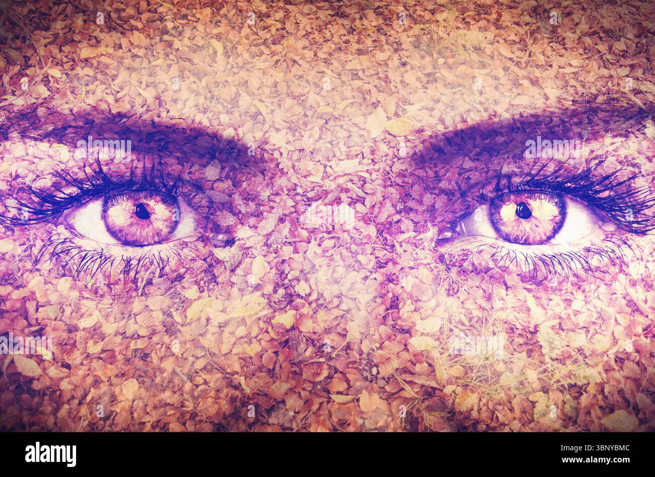 Autumn overlay hi-res stock photography and images - Alamy