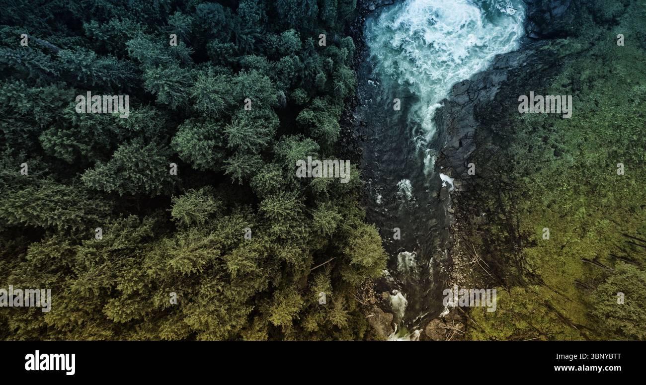 Aerial view showing conifer forest left rocky stream forming waterfall ...