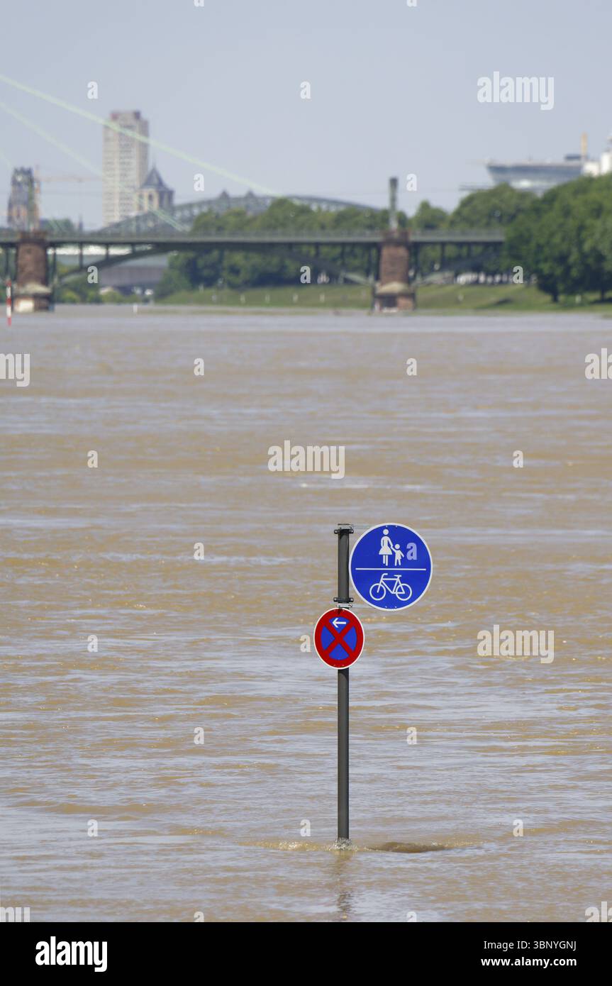 A traffic sign no stopping and pedestrian and cycle path in the middle ...