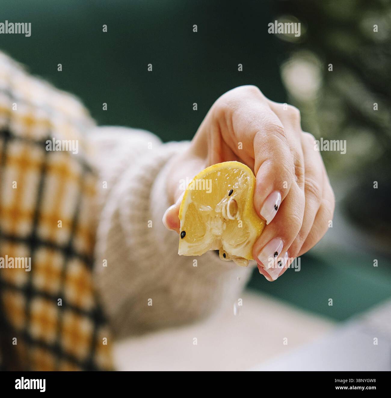 food still-life, Female hand holds half a yellow lemon and squeezes ...
