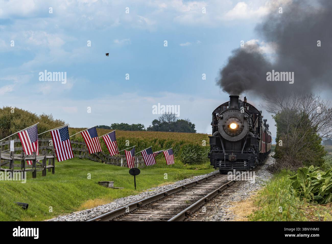 A classic steam train makes its way through a picturesque rural ...