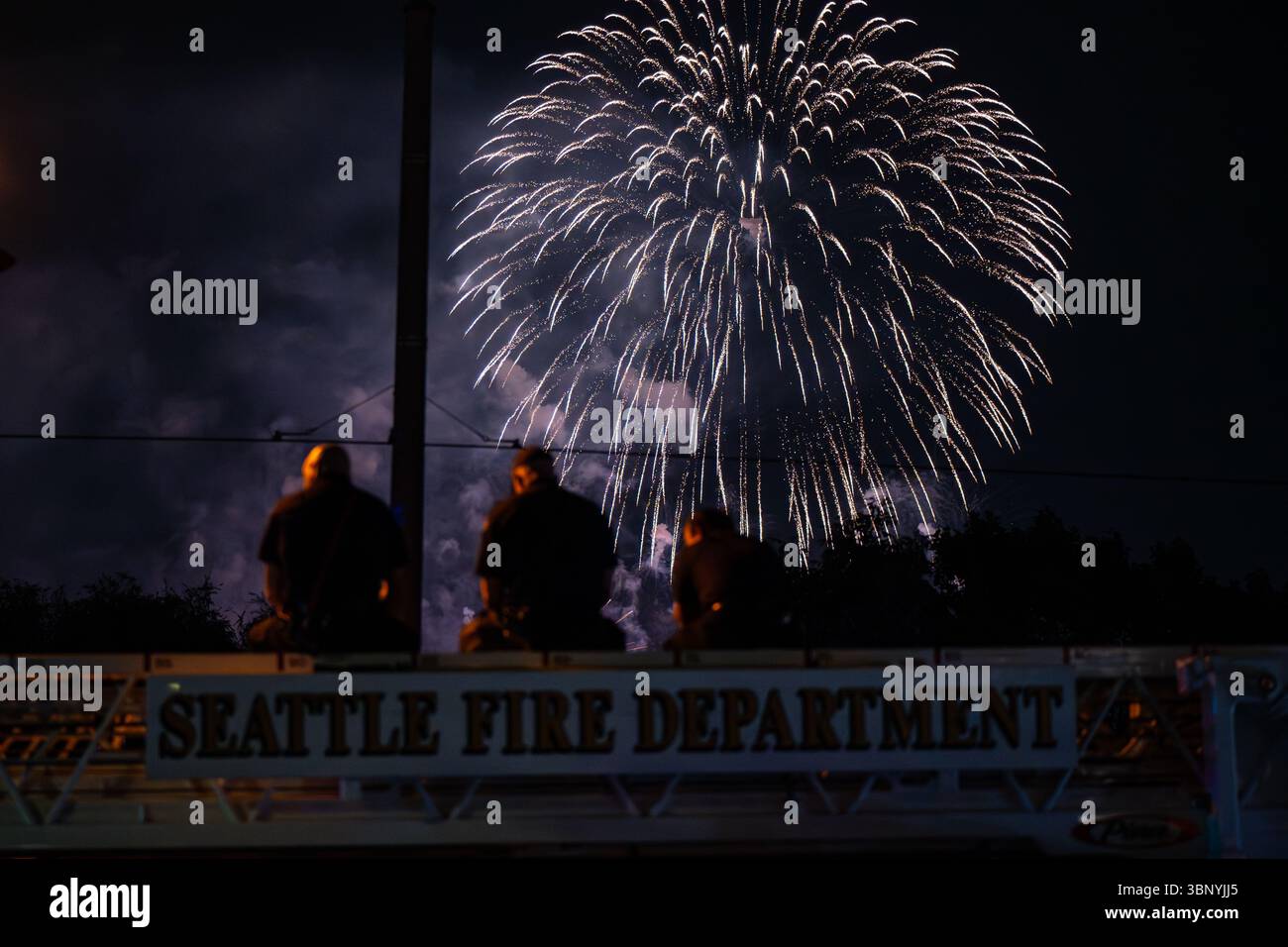 Seattle, USA. 4th July 2025. Seattleites take to the streets to ...