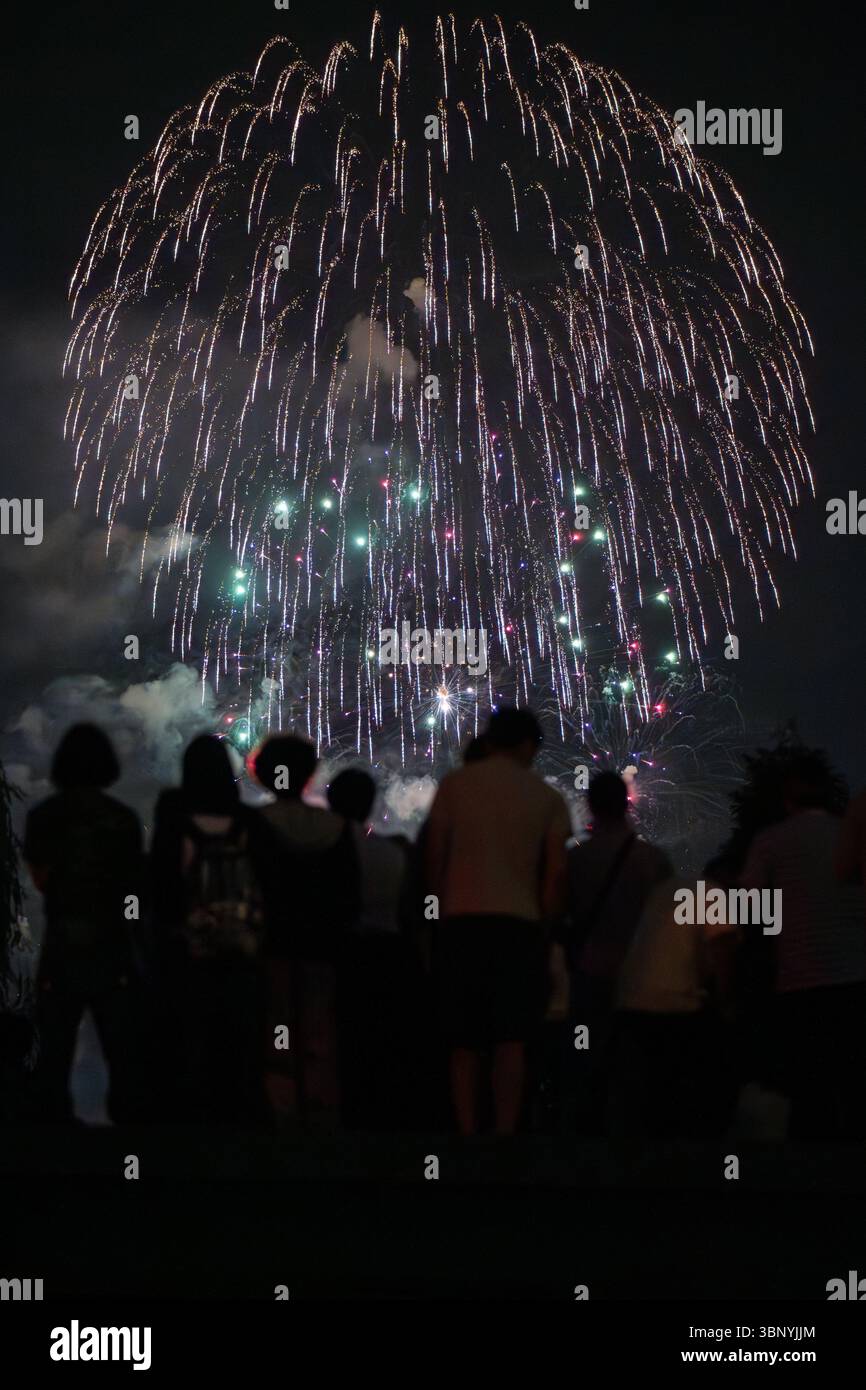 Seattle, USA. 4th July 2025. Seattleites take to the streets to ...
